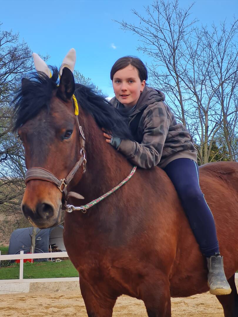 Beneko | Horse Island e. V. – Reiten in Marlishausen